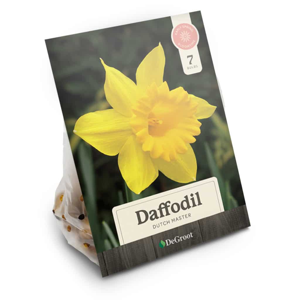 4 Shelf Fall Bulb Display - Degroot