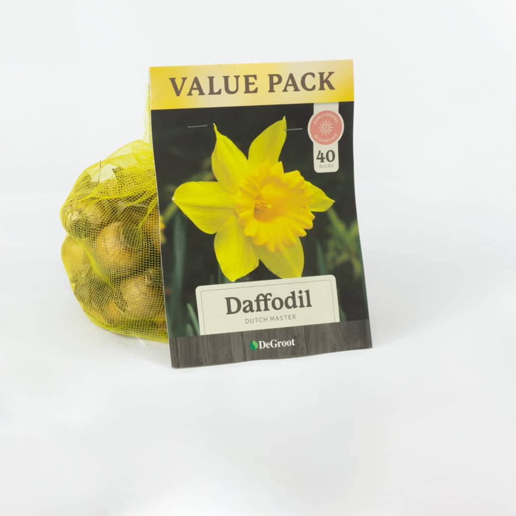 Fall Bulb Value Pack Bin Assortment - Degroot