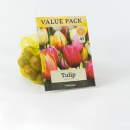 Fall Bulb Value Pack Bin Assortment - Degroot
