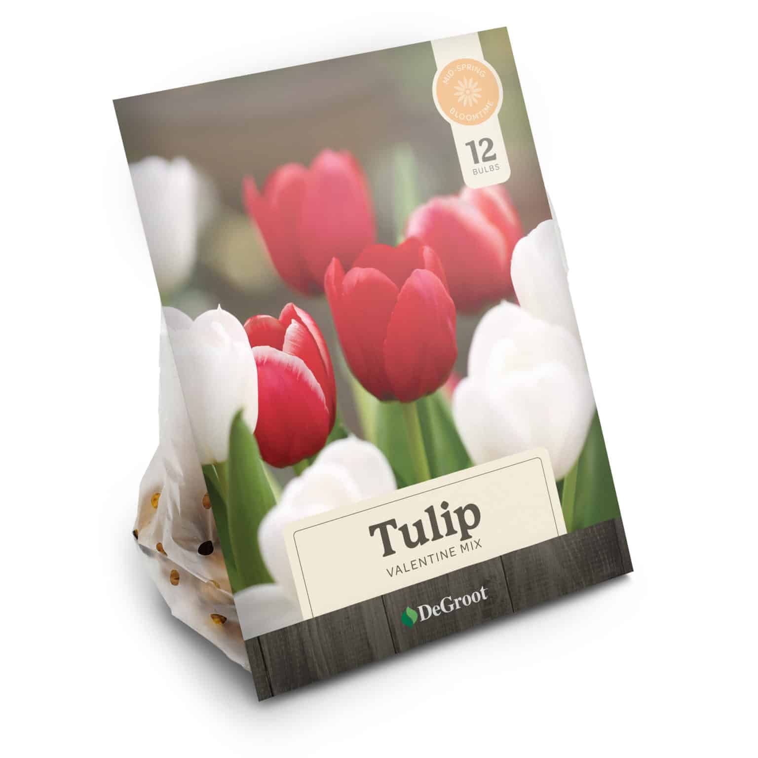 4 Shelf Premium Mix Fall Bulb Display - Degroot