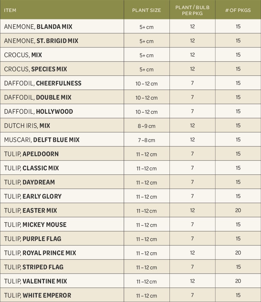 4 Shelf Premium Mix Fall Bulb Display - Degroot