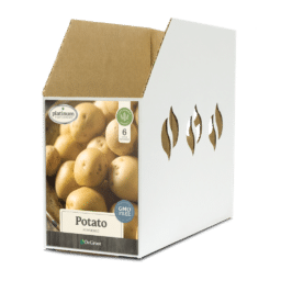 Potato, 'Kennebec' Bin Box - Degroot